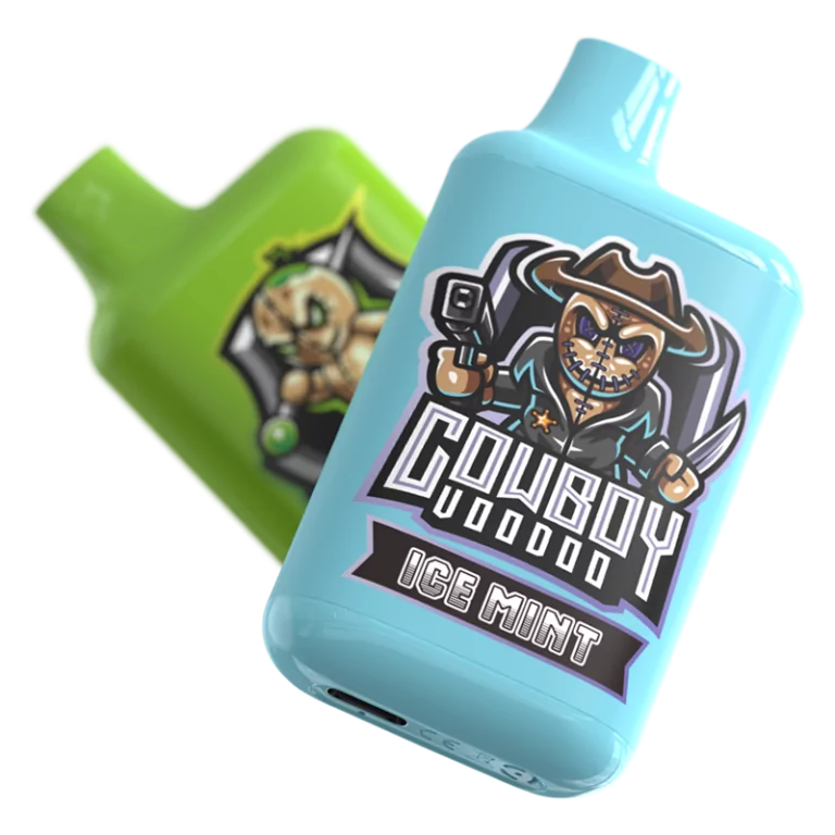 RE:V (Voodoo) 5000 Puffs Disposable Vape Box - Ecigator