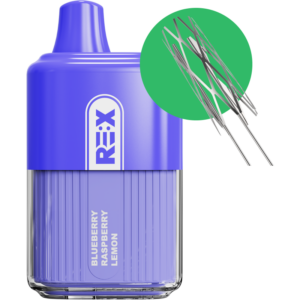 Rex 6000 Puffs Rechargeable Disposable Vape Box - Ecigator