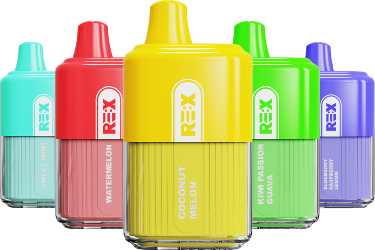 Rex 6000 Puffs Rechargeable Disposable Vape Box - Ecigator