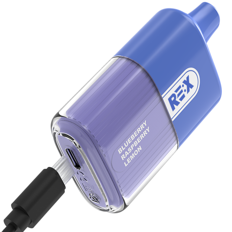 Rex 6000 Puffs Rechargeable Disposable Vape Box - Ecigator