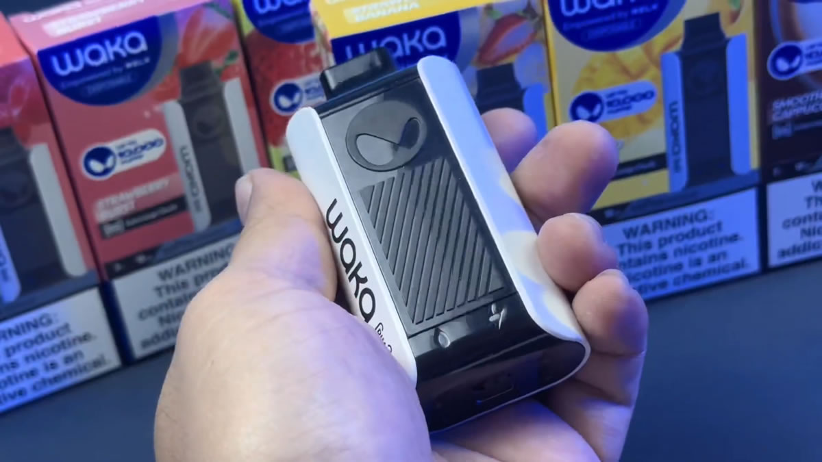 WAKA SoPro PA10000 Dual Coil Disposable Vape Review