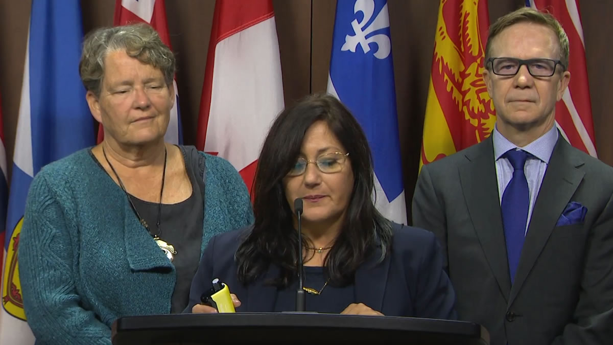 Canadian Vaping Association Warns Flavor Ban Harms Public Health - Ecigator