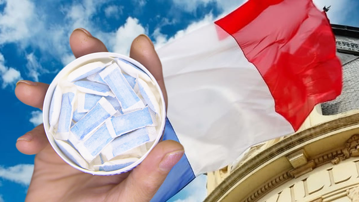 France Bans Nicotine Pouches Amid Europe Regulation in 2025 - Ecigator