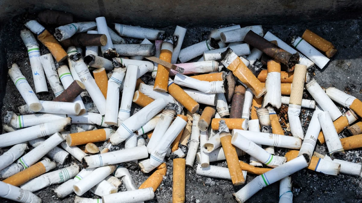 FDA Proposes Reduction in Nicotine Levels for Cigarettes - Ecigator