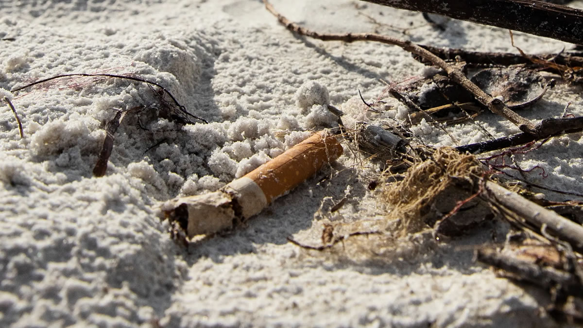 Florida Empowers Local Governments to Ban Smoking at Public Beaches and ...