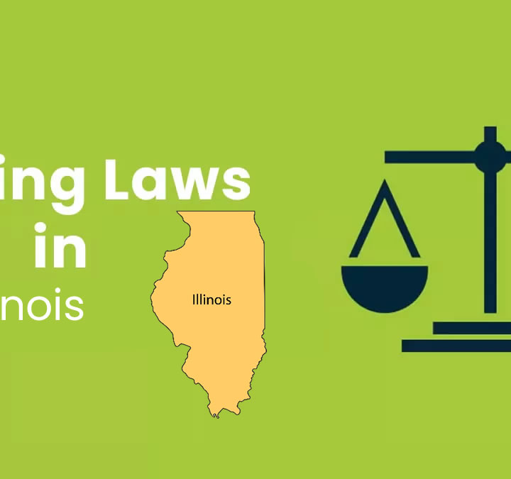 Vaping Laws in Illinois: A Comprehensive Guide 2025 Updated