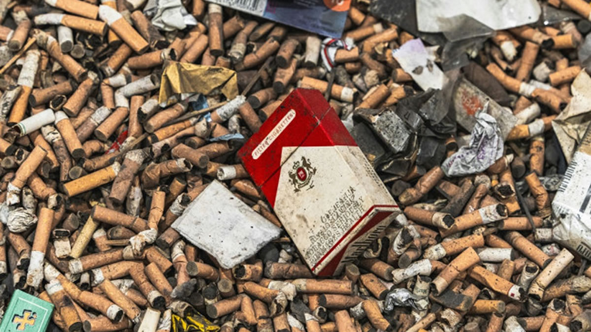 WHO Conference Considers Global Ban on Cigarette Filters - Ecigator