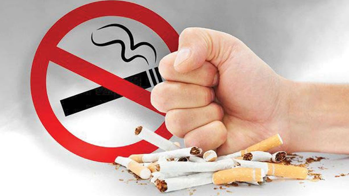Sweden Becomes World's First Smoke-Free Country as Smoking Rate Drops ...