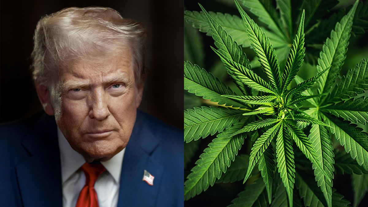 Trump Signs Bill to Recriminalize Hemp: 1-Year Countdown Begins - Ecigator