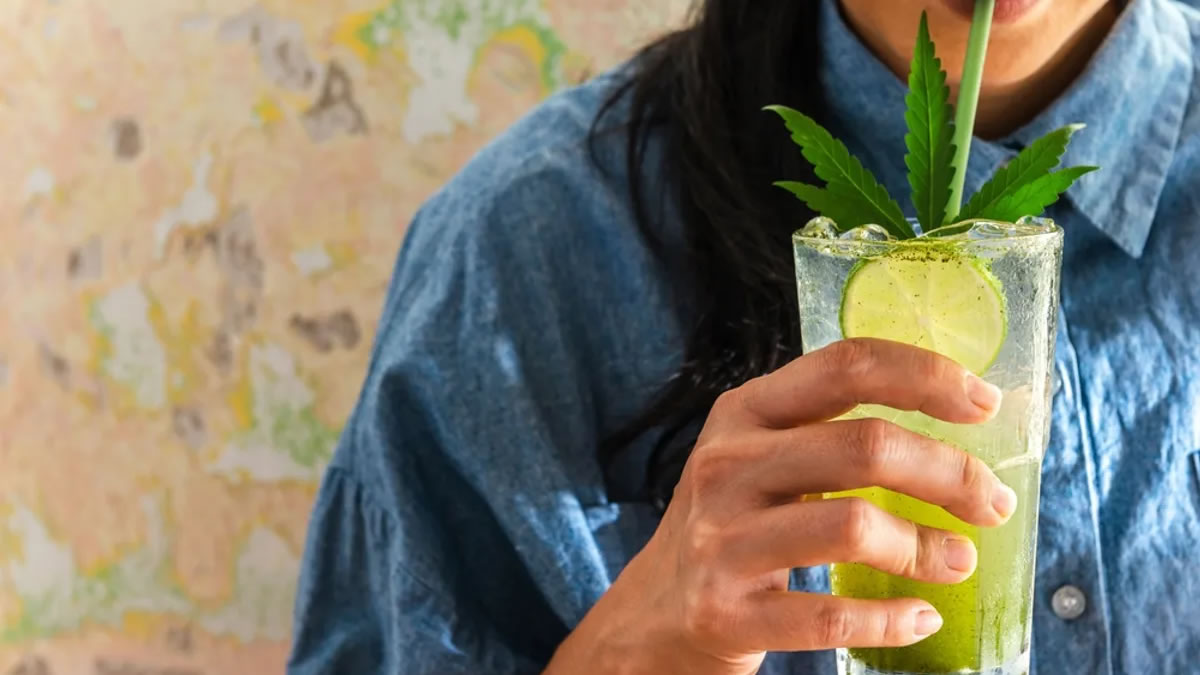 Cannabis Drinks Cut Alcohol Use by 50%: UB Study - Ecigator